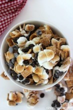 S'mores Snack Mix Recipe - CincyShopper