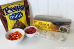 Peeps Turkey Treats - CincyShopper