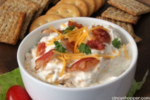 Bacon Cheddar Ranch Dip Recipe - CincyShopper