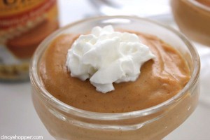 Homemade Pumpkin Pudding