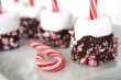 Candy Cane Marshmallows - CincyShopper