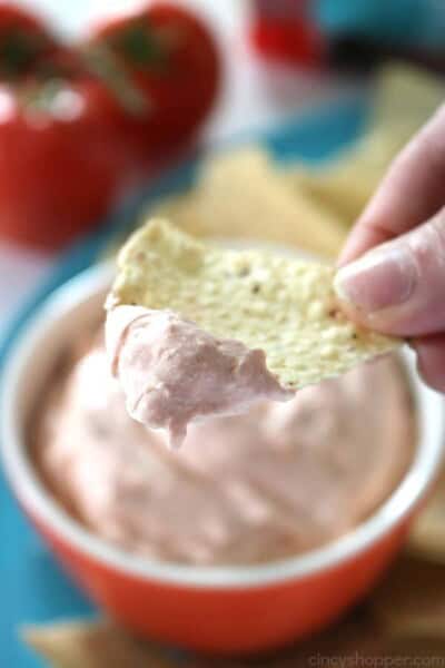 2 Ingredient Mexican Salsa Dip - CincyShopper