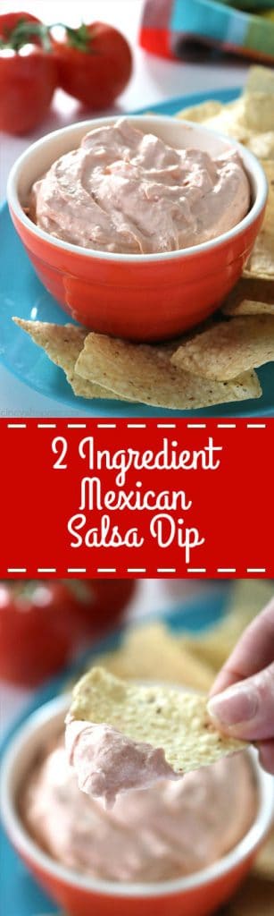 2 Ingredient Mexican Salsa Dip - CincyShopper