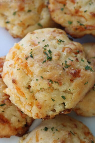 Homemade Cheddar Biscuits - CincyShopper
