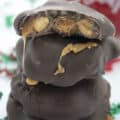 Homemade Sticky Paws - CincyShopper