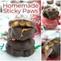 Homemade Sticky Paws - CincyShopper