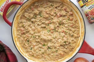 Rotel Dip - CincyShopper