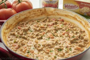 Rotel Dip - CincyShopper