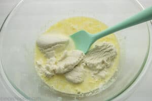 Jello Ice Cream Mold - CincyShopper