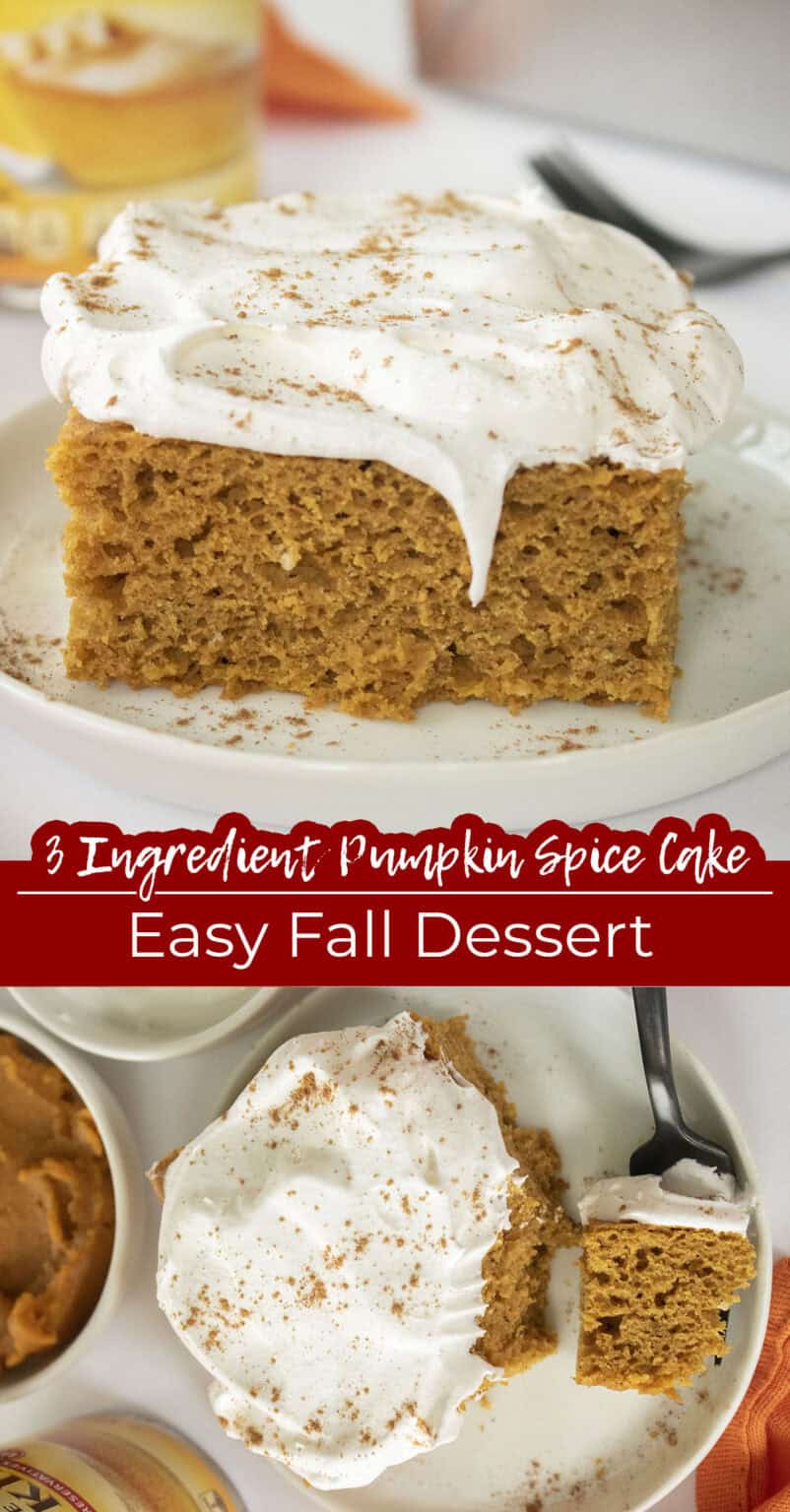 3 Ingredient Pumpkin Spice Cake - CincyShopper