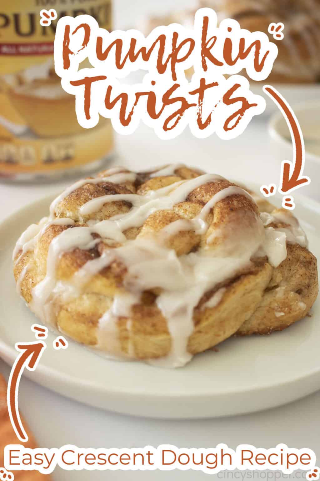 Pumpkin Twists - CincyShopper